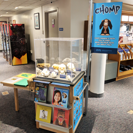 GHPL Foundation – Grandview Heights Public Library