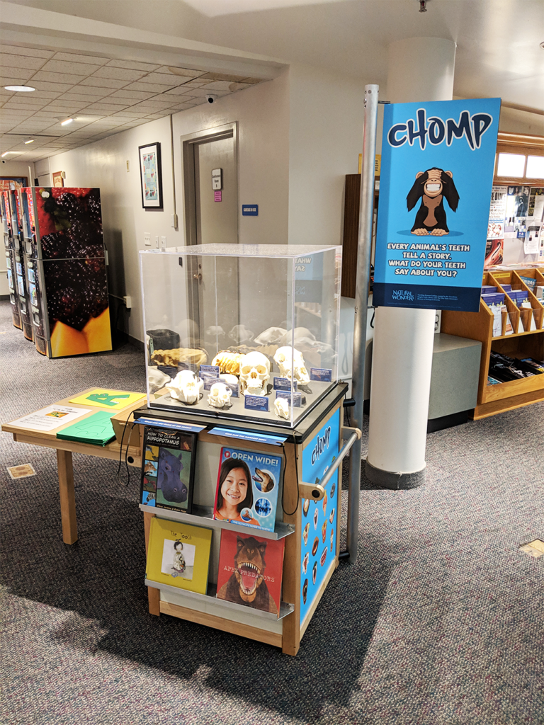 Grant expands exhibit project – Grandview Heights Public Library