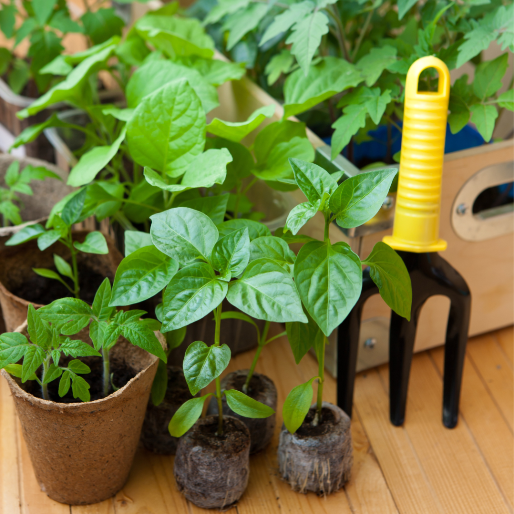 GHPL Foundation – Grandview Heights Public Library